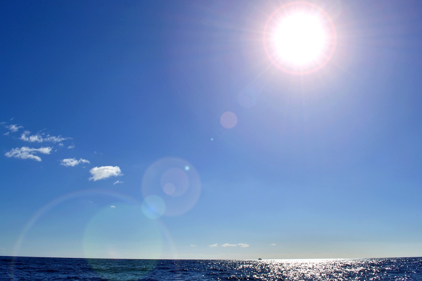 Neues Katalysator-Material zur Wasserstoff-Elektrolyse